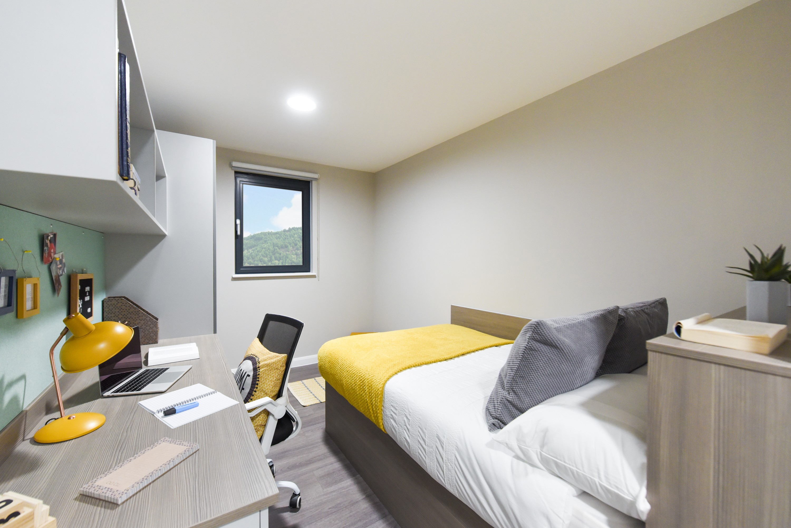 St Davids | Swansea University Accommodation | Student Roost