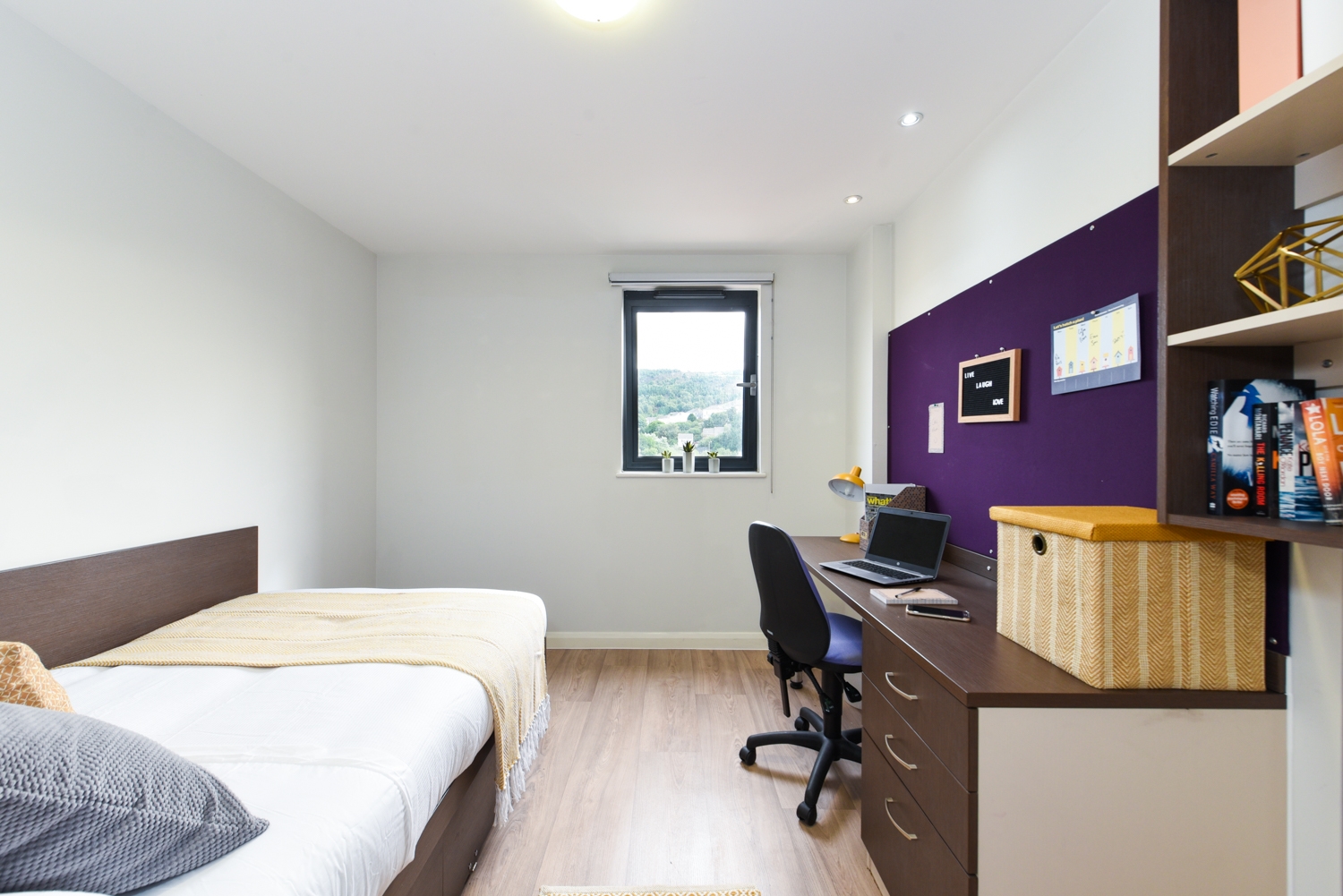 St Davids | Swansea University Accommodation | Student Roost